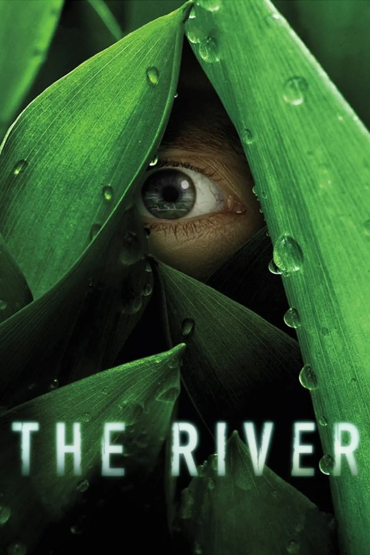 Épisodes de "The River"
