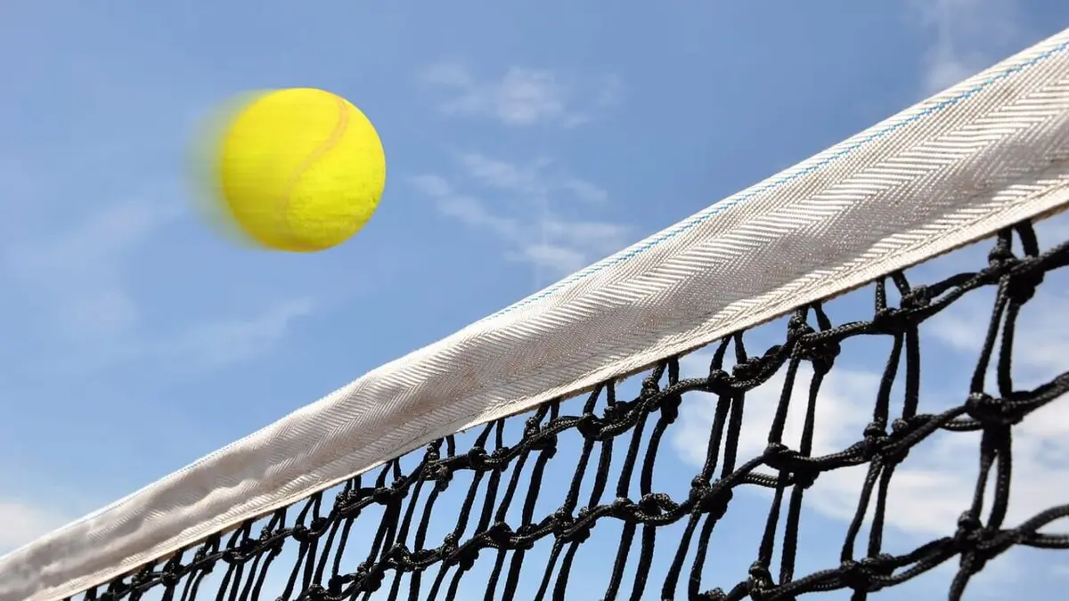 Tennis Tournoi WTA de Dubaï 2024 (Sport) • Programme TV & Replay
