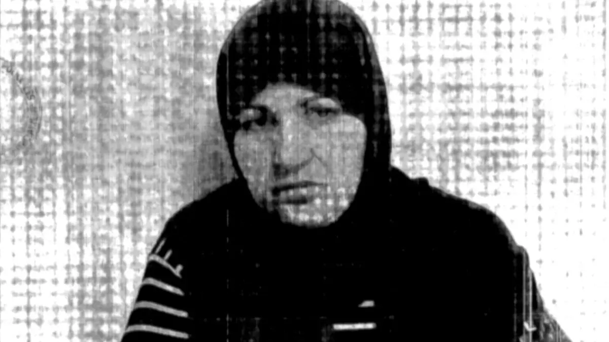 Un crime parfait ? Les polars de l'été (Documentaire) • Programme TV ...