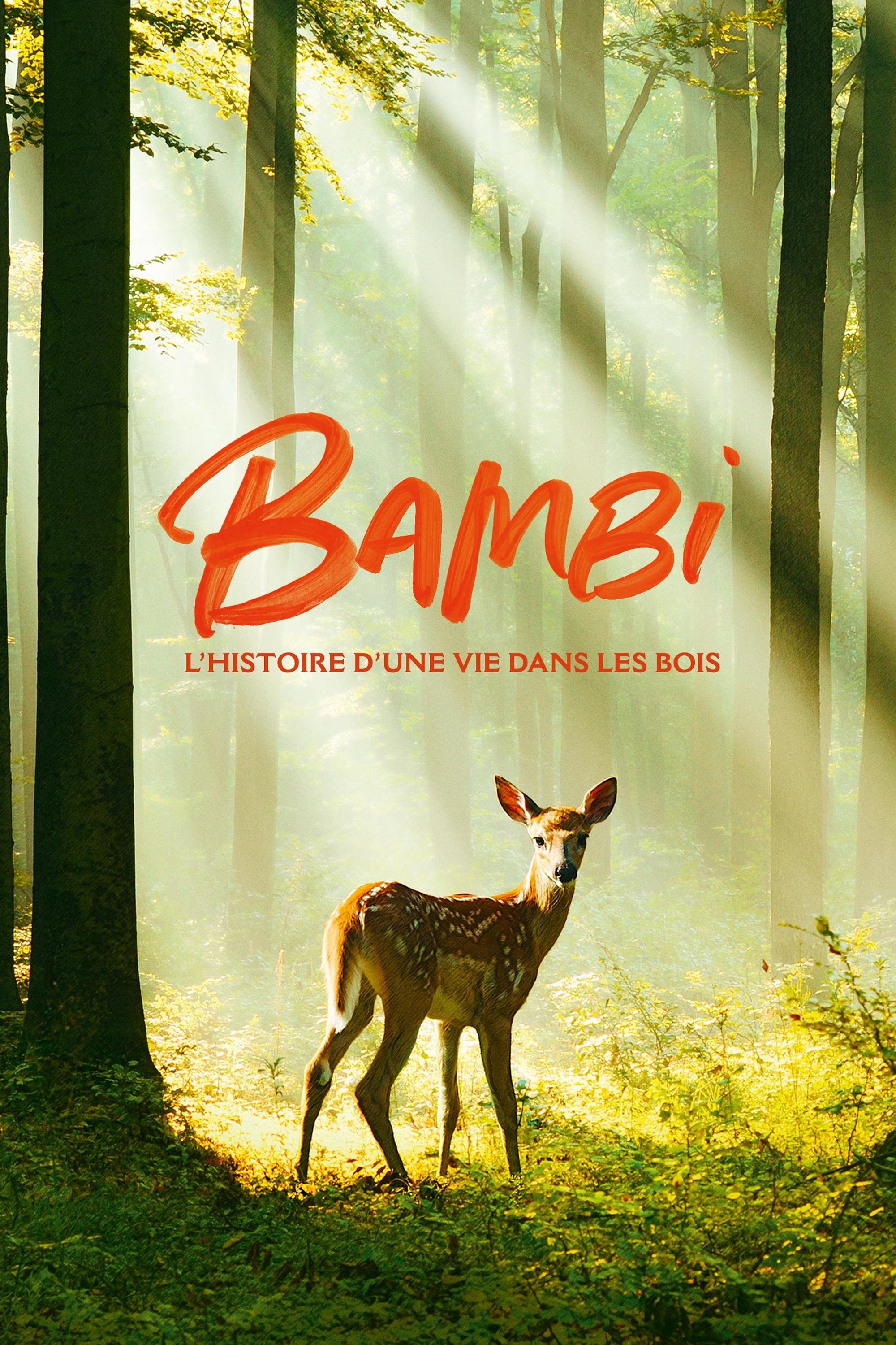 Bambi, l'histoire d'une vie dans les bois : regarder en streaming