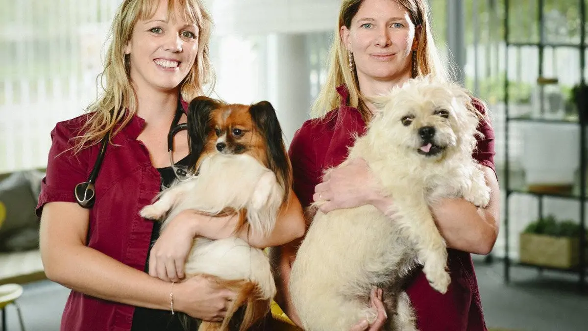 Véto & Co S04E06 (Documentaire) • Programme TV & Replay